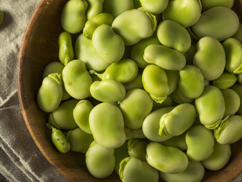 Fava, The Ancient Magical Bean